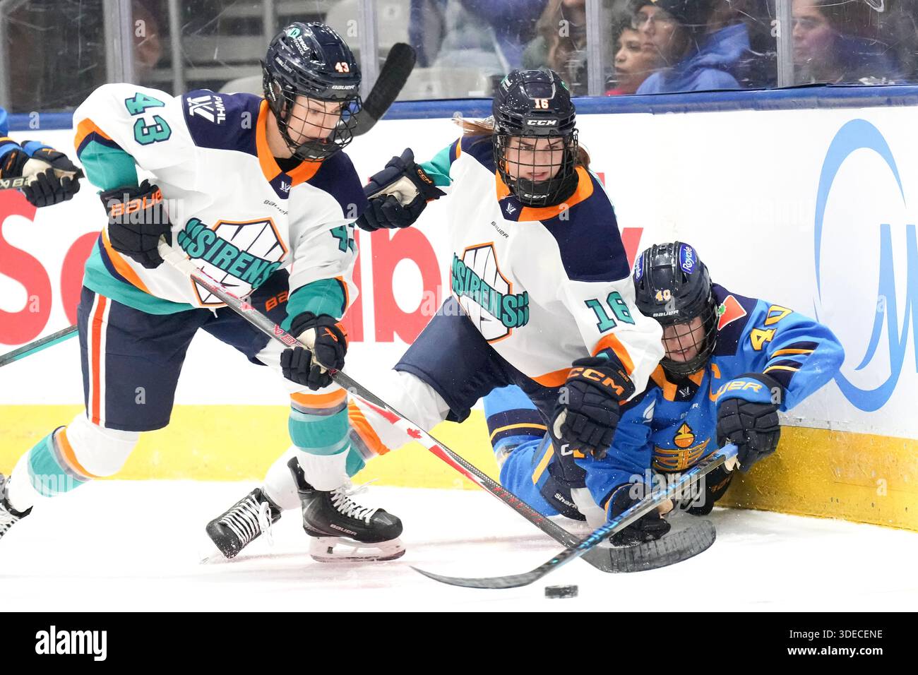 Toronto Sceptres' Blayre Turnbull (right) battles for the puck with New ...