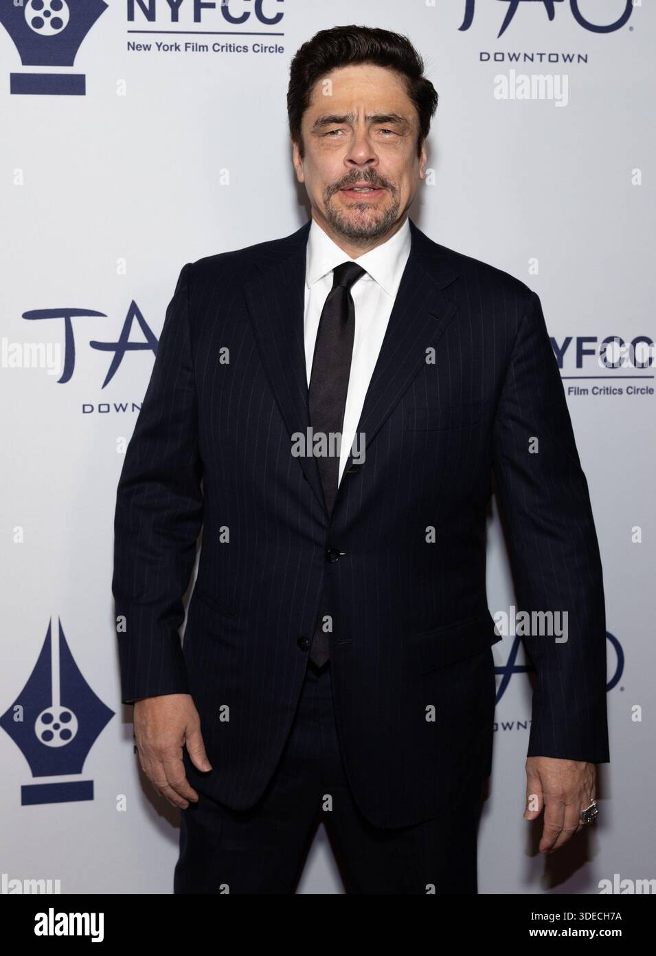 Benicio del Toro attends the New York Film Critics Circle Awards at Tao ...