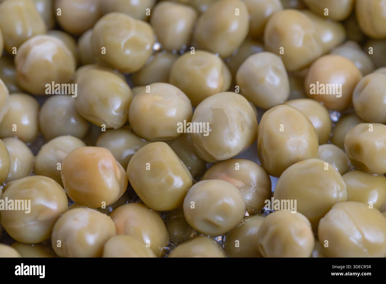 Tinned specimen hi-res stock photography and images - Alamy