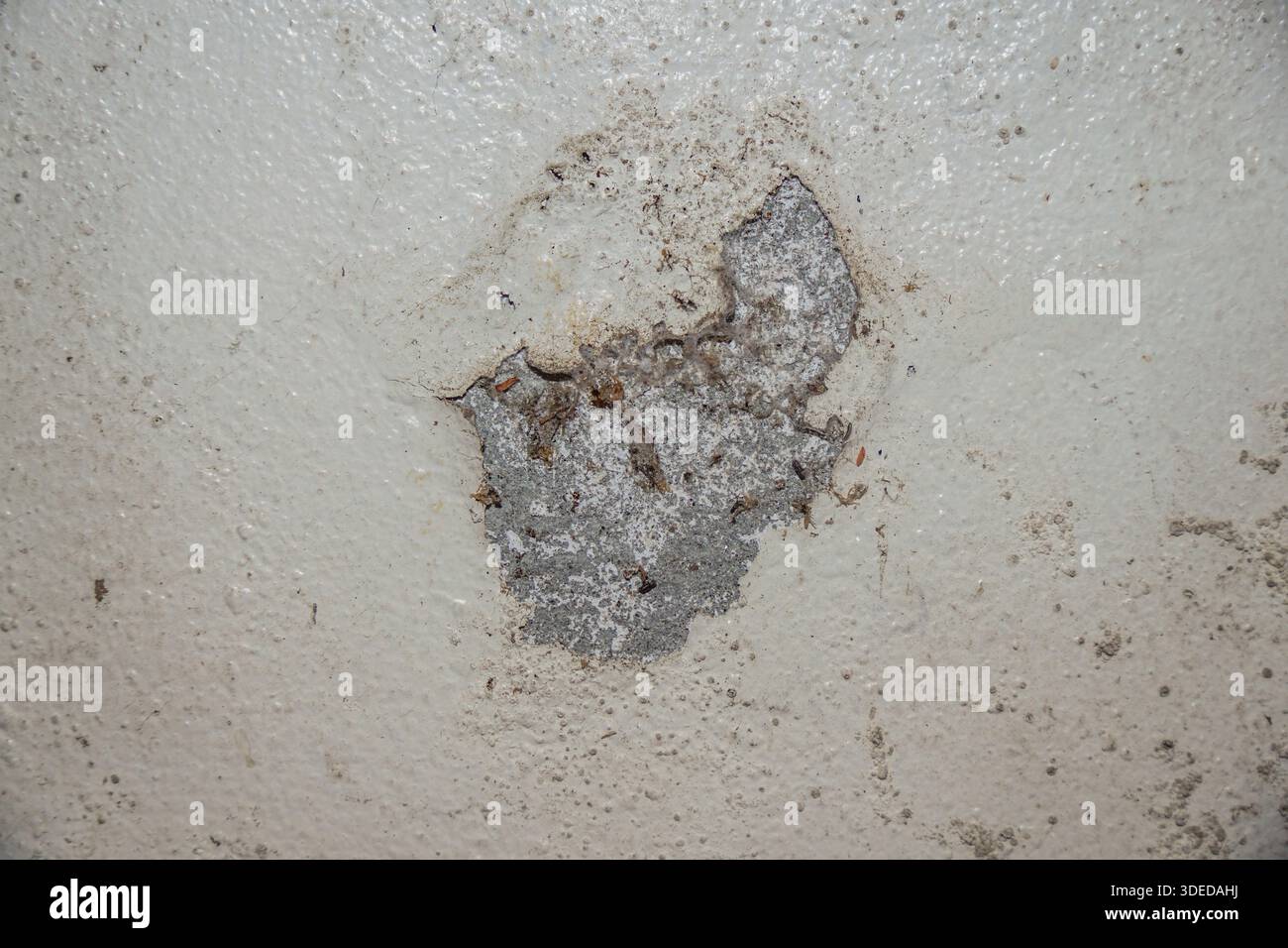 White damp wall showing paint hi-res stock photography and images - Alamy