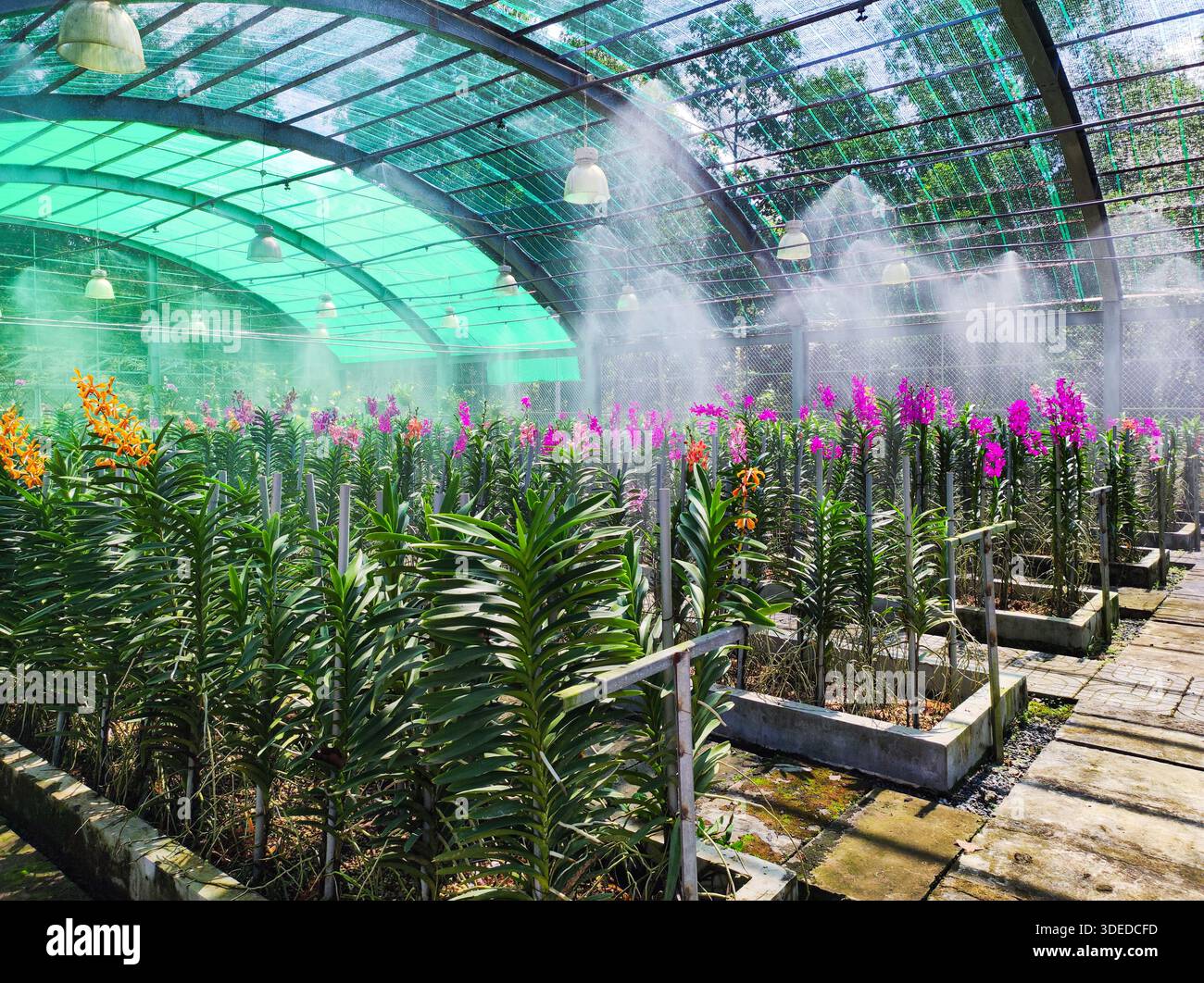 Automated irrigation system in nursery hi-res stock photography and ...