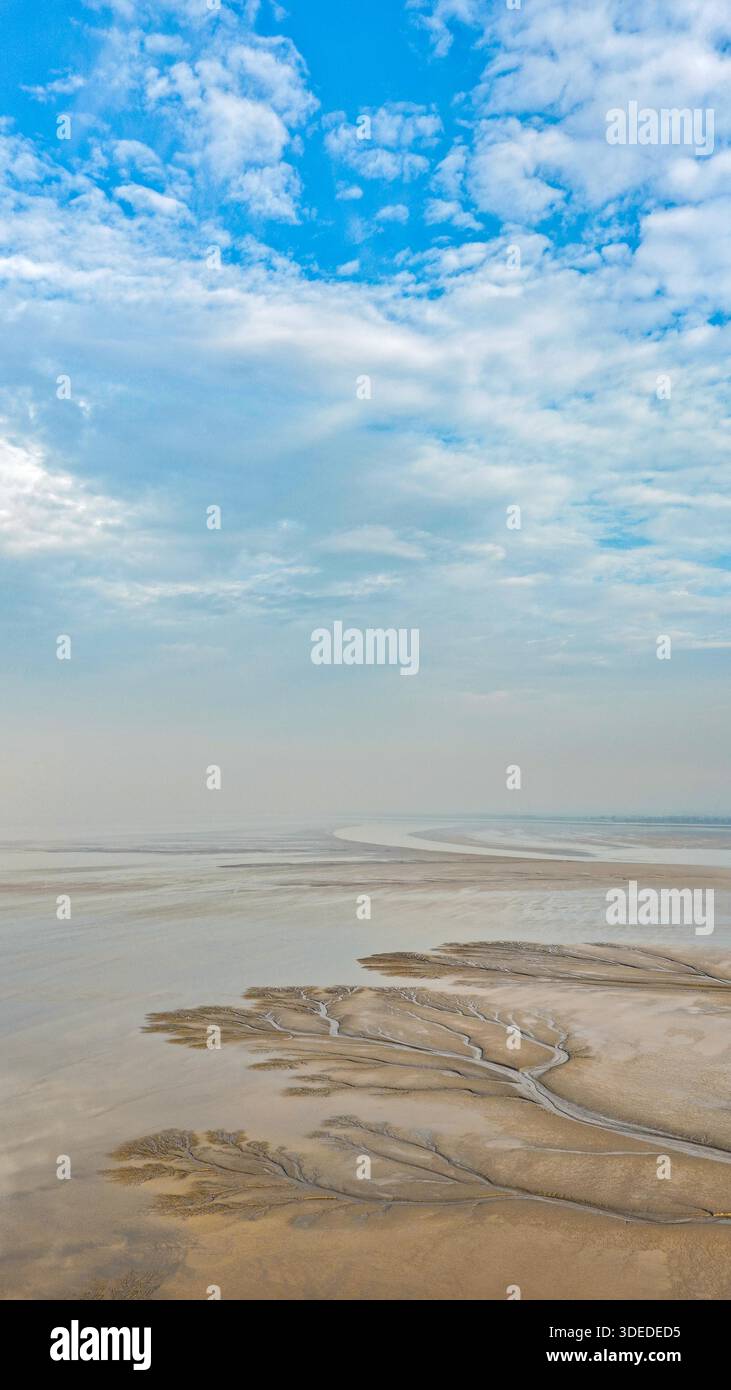 Tidal trees form an engraved forest-like landscape on the tidal flats of Qiantang River in ...