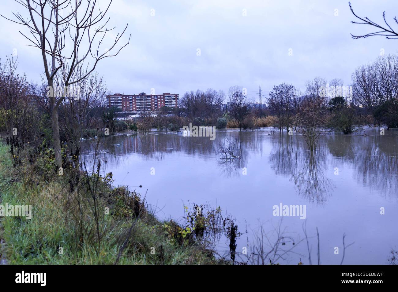 **NO WEBSITE OR NEWSPAPERS, ONLY FOR ITALY** Aniene River flooding ...