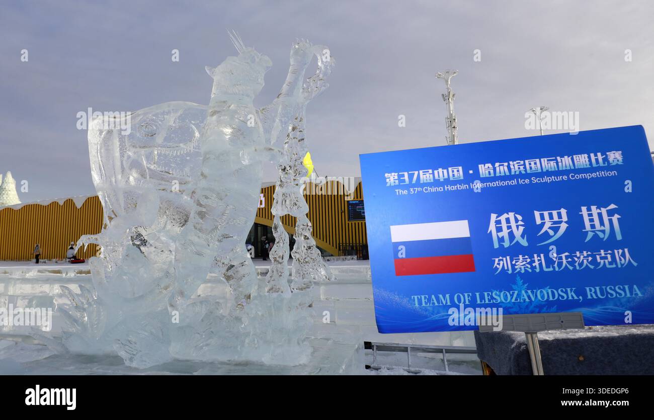 Artists from 12 countries showcase their ice sculptures at the 37th ...