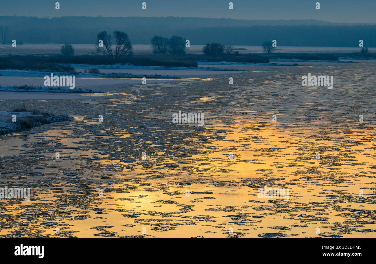 07 January 2026, Brandenburg, Frankfurt (Oder): Ice floes, known as ...
