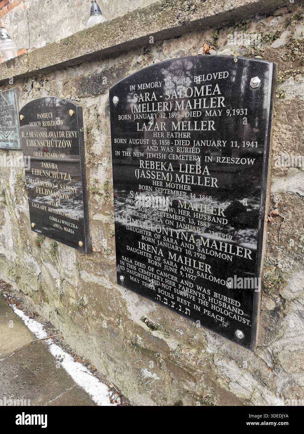 Sad Holocaust memorial plaques on the wall in the New Jewish Cemetery ...