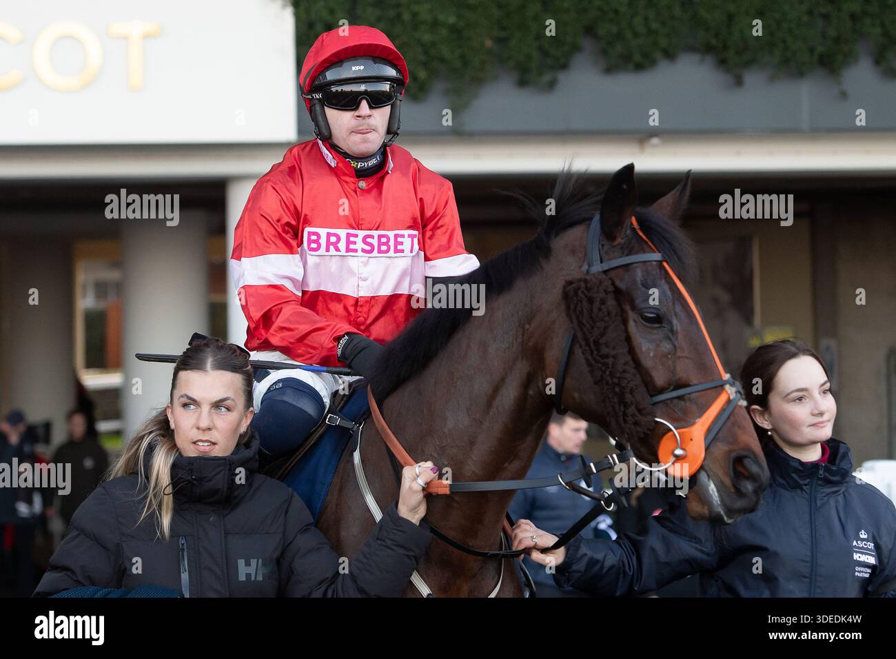 Crambo retirement hi-res stock photography and images - Alamy