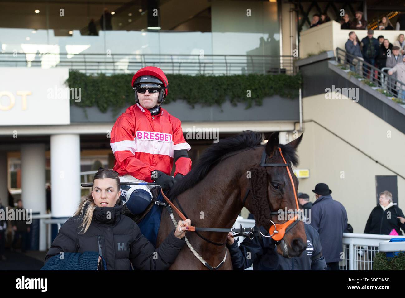 Crambo retirement hi-res stock photography and images - Alamy