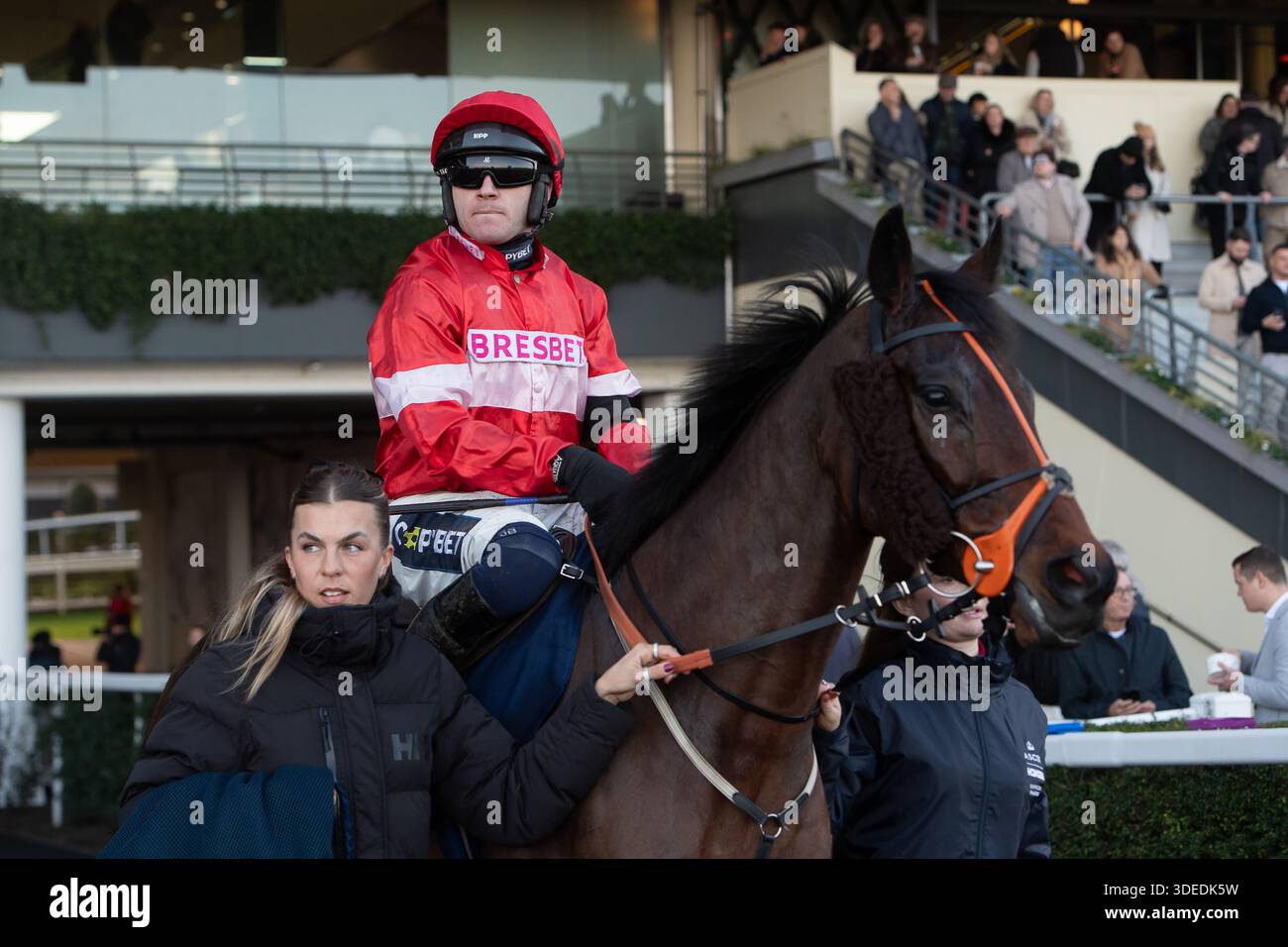 Crambo retirement hi-res stock photography and images - Alamy