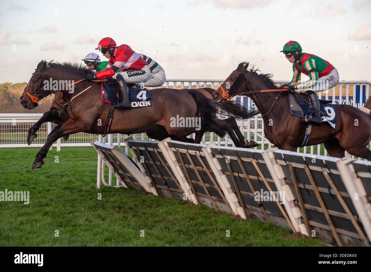 Crambo retirement hi-res stock photography and images - Alamy