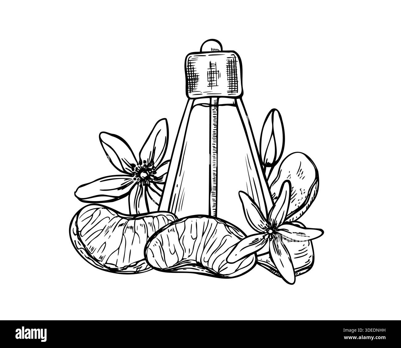 Fruit slices glass Black and White Stock Photos & Images - Alamy