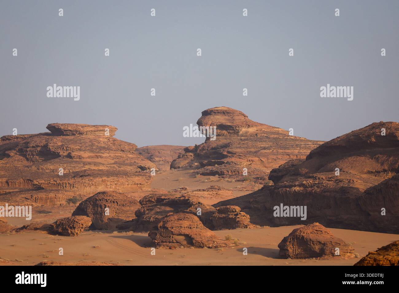 landscape, paysage during the Stage 4 of the Dakar 2026, on January 7 ...