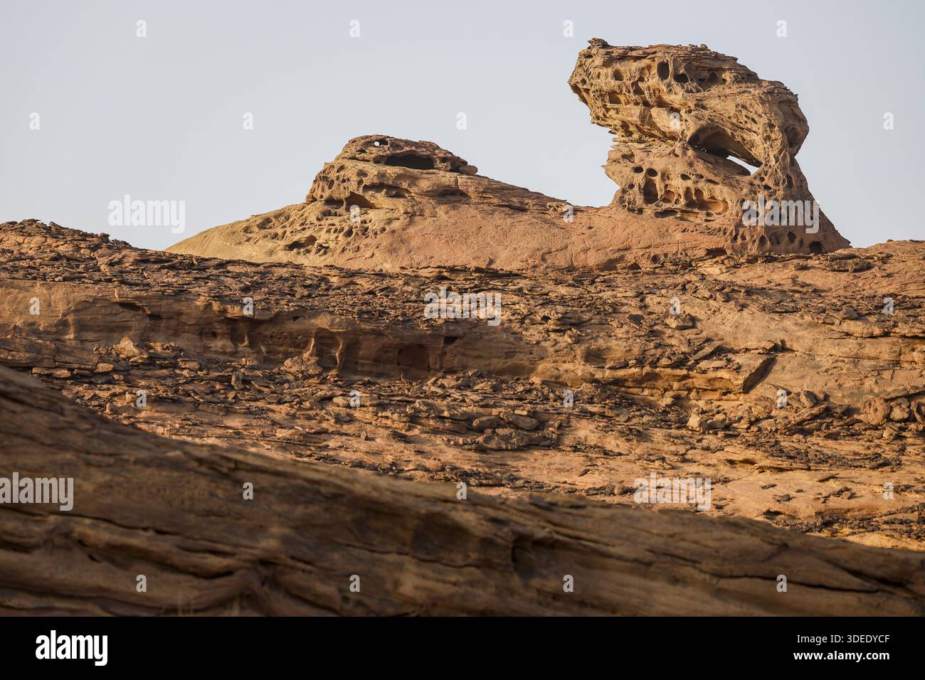 Sunrise, landscape during the Stage 4 of the Dakar 2026, on January 7 ...
