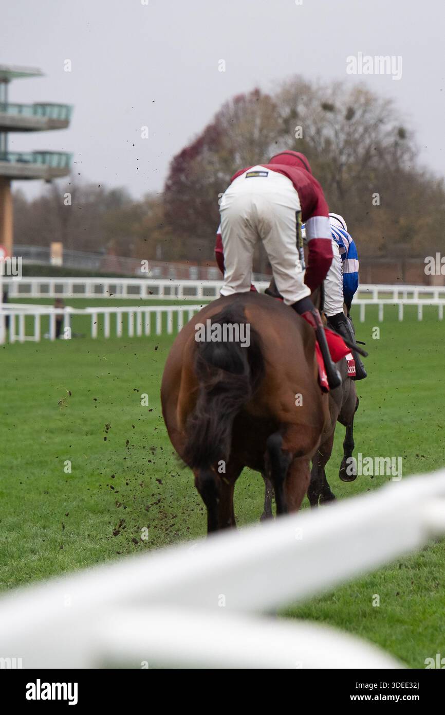 Master chewy horse hi-res stock photography and images - Alamy