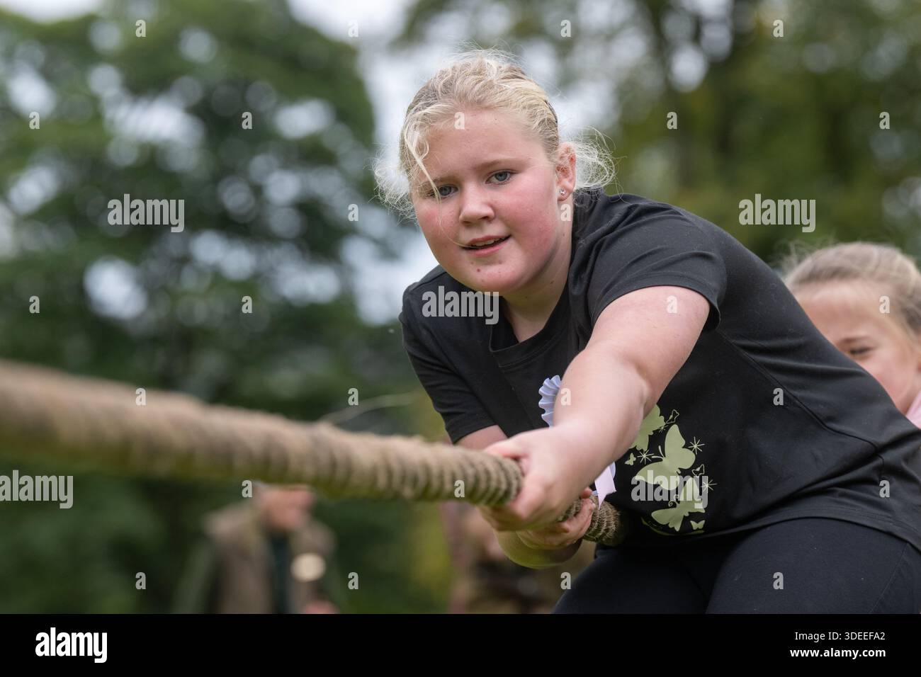 Teams competing in a tug of War competition at Langholm Show 2025 Stock ...