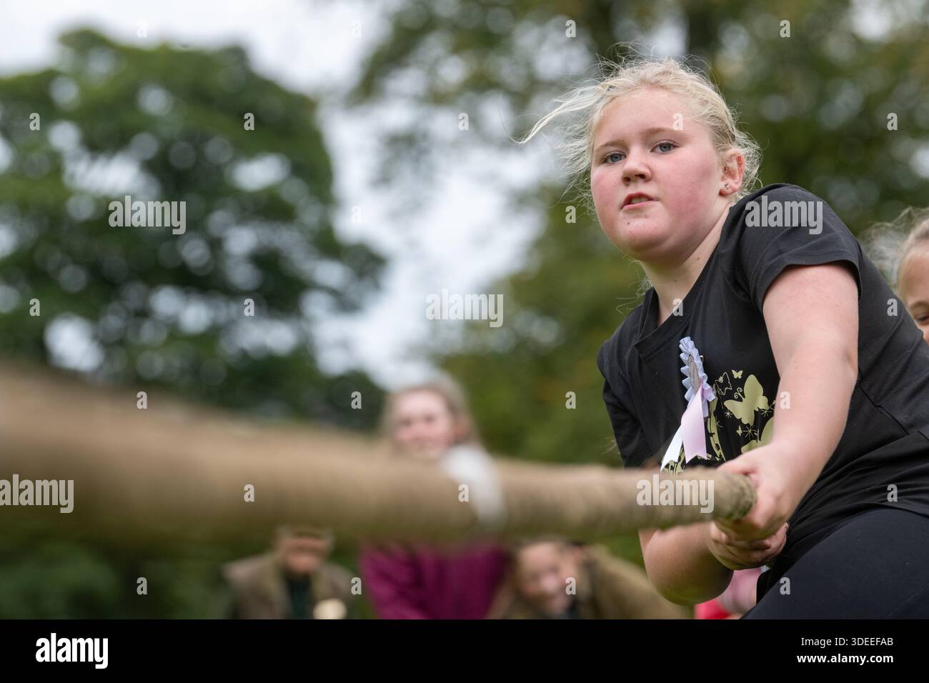 Teams competing in a tug of War competition at Langholm Show 2025 Stock ...