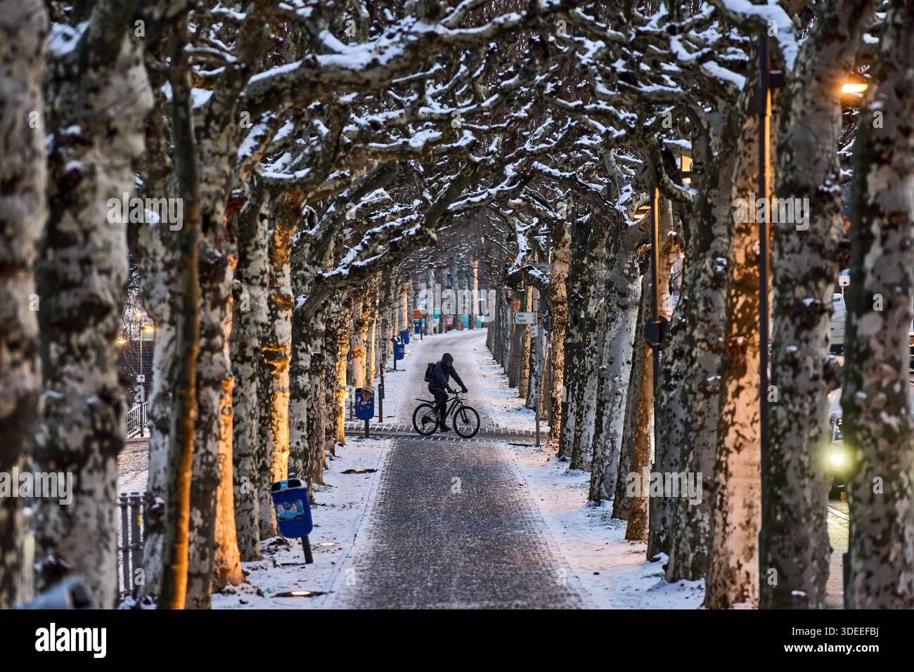A man rides a bike in an alley in Frankfurt, Germany, Wednesday, Jan. 7 ...