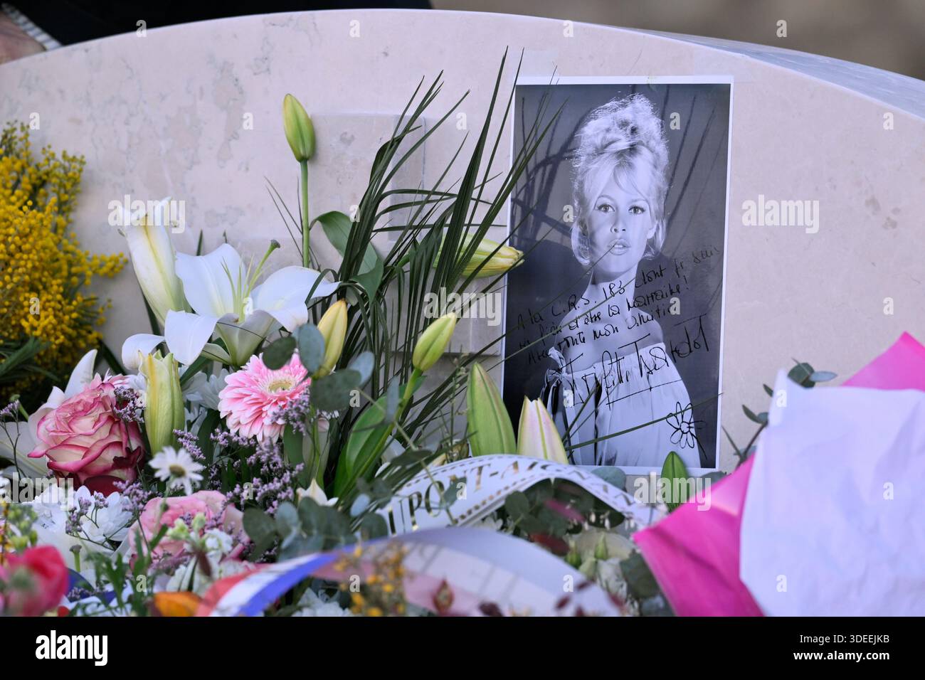 A photograph of actor Brigitte Bardot is seen on her tomb, Wednesday ...