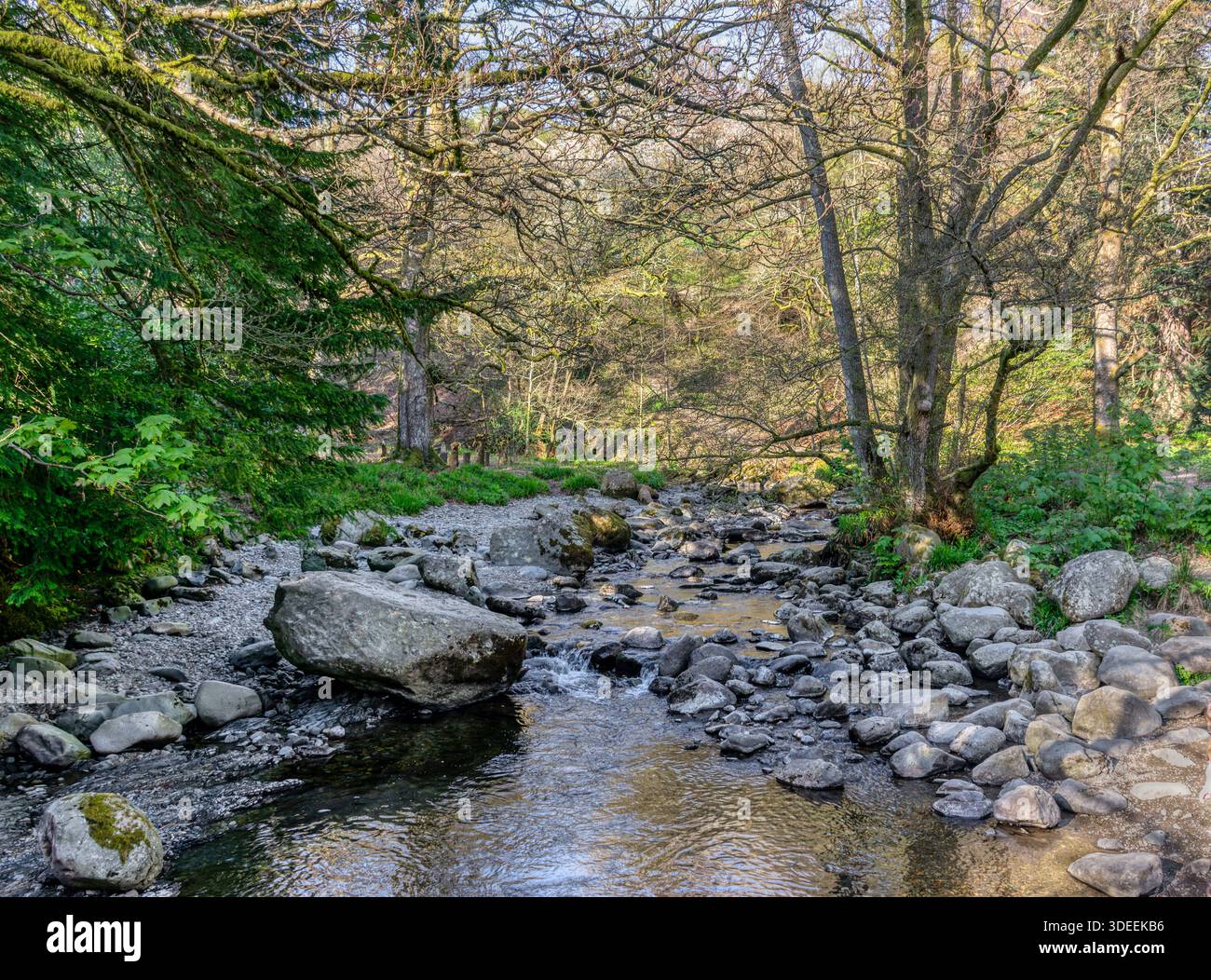 Mossy cornish woodland river hi-res stock photography and images - Alamy