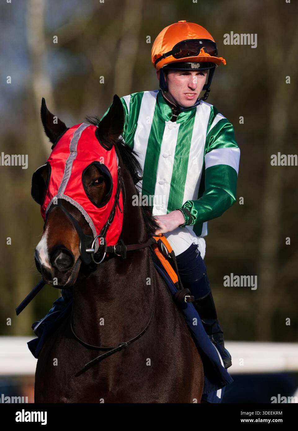 Darragh Keenan at Lingfield Park racecourse, Surrey. Picture date ...