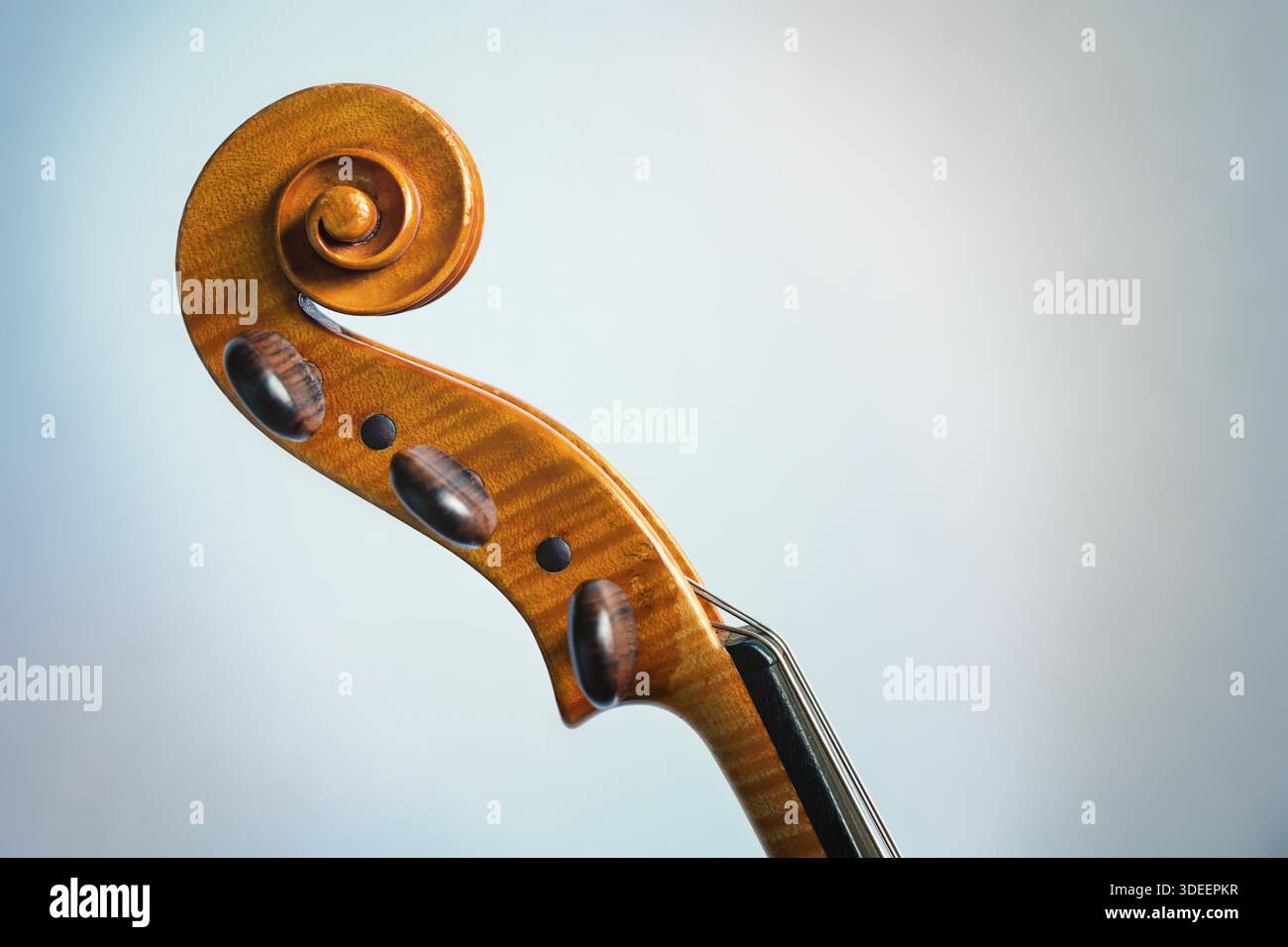 Rare five stringed instrument hi-res stock photography and images - Alamy