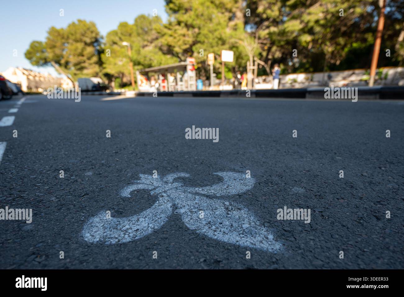 Das Lilien Symbol ist auf einer Straße in El Saler zu sehen. ESP, SV ...