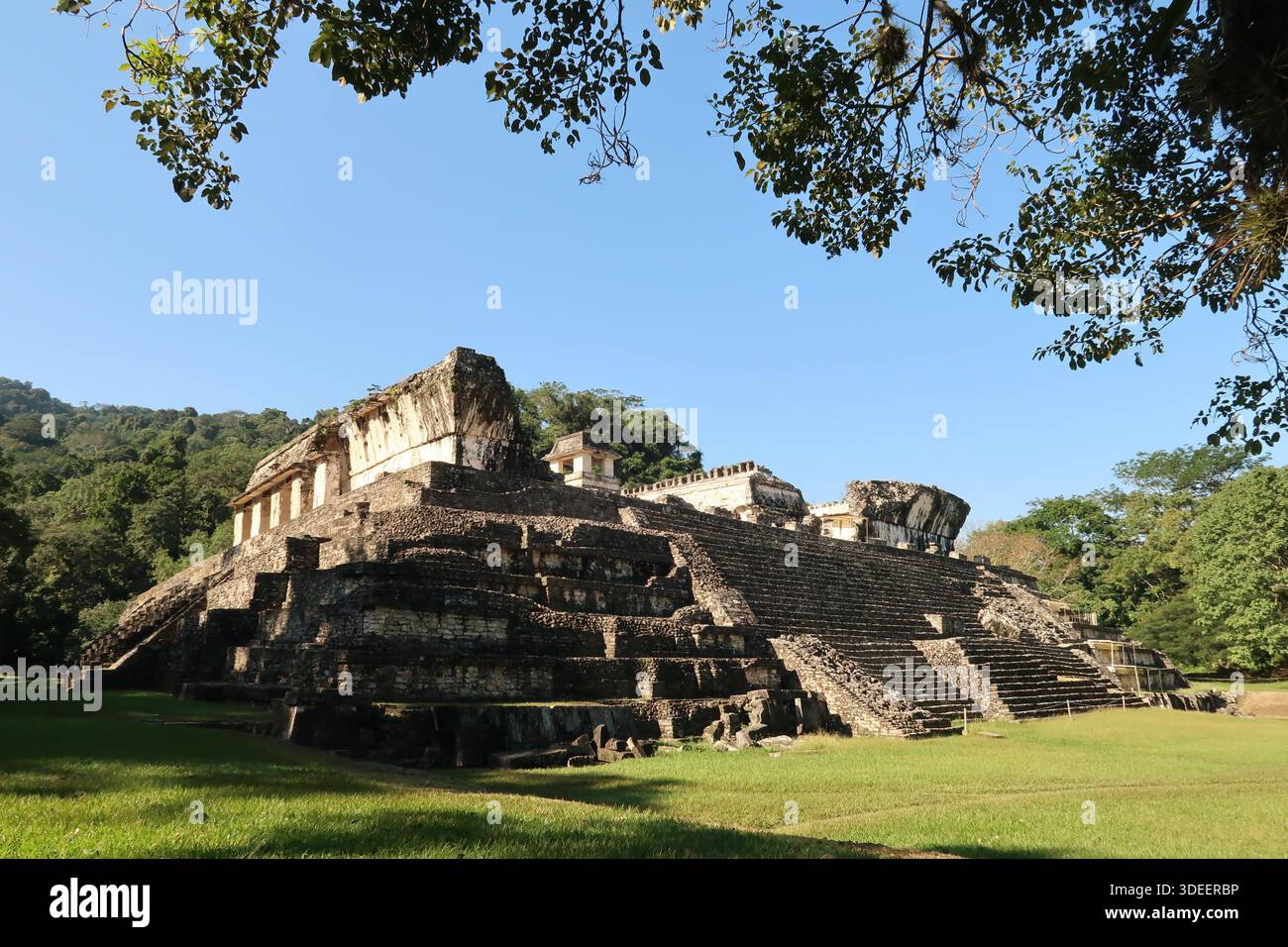 Stair leading up to the Palace/El Palacio at the archaeological site of ...