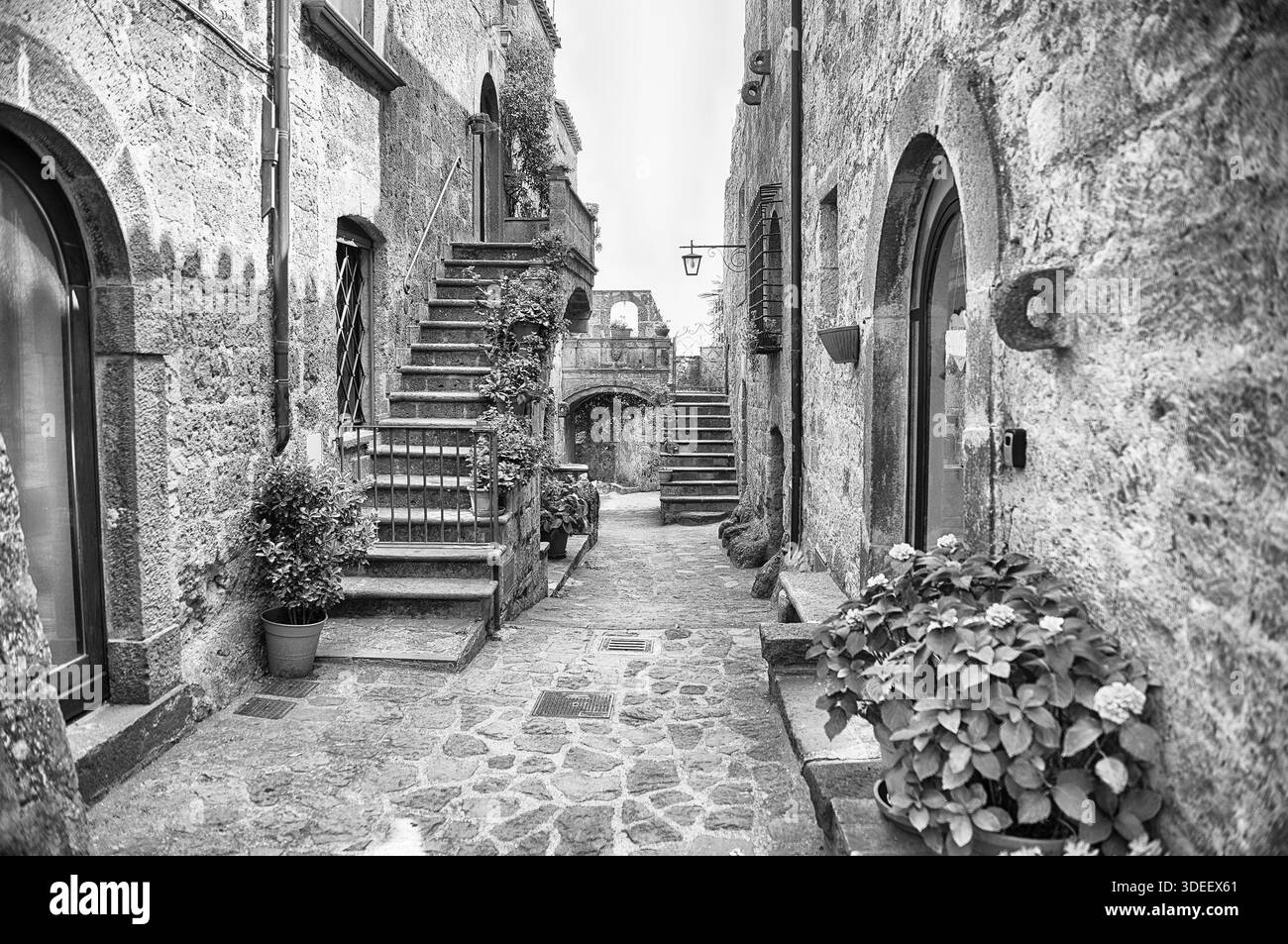 Charming plants Black and White Stock Photos & Images - Alamy