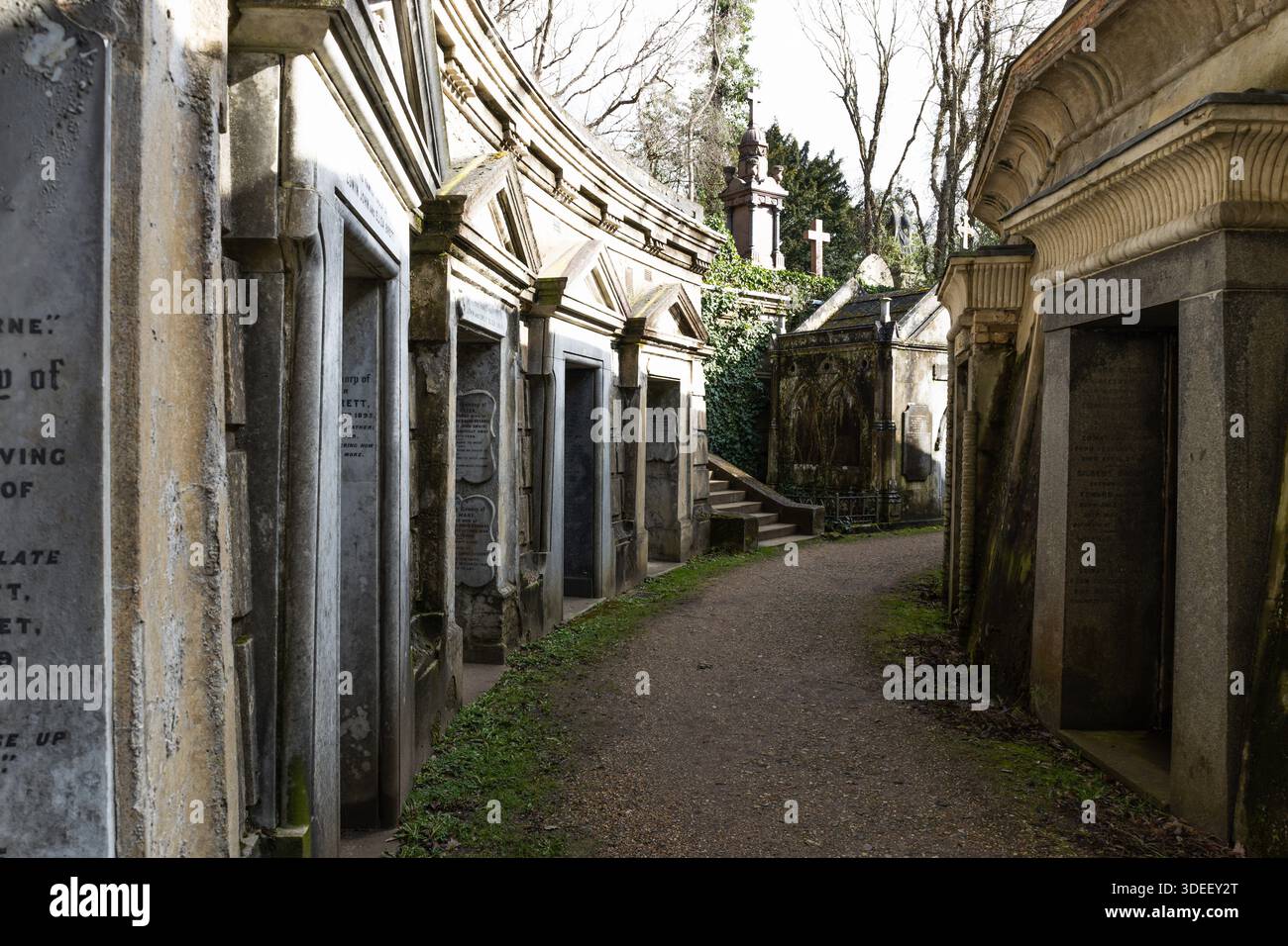 Gothic cemetery aesthetic hi-res stock photography and images - Alamy
