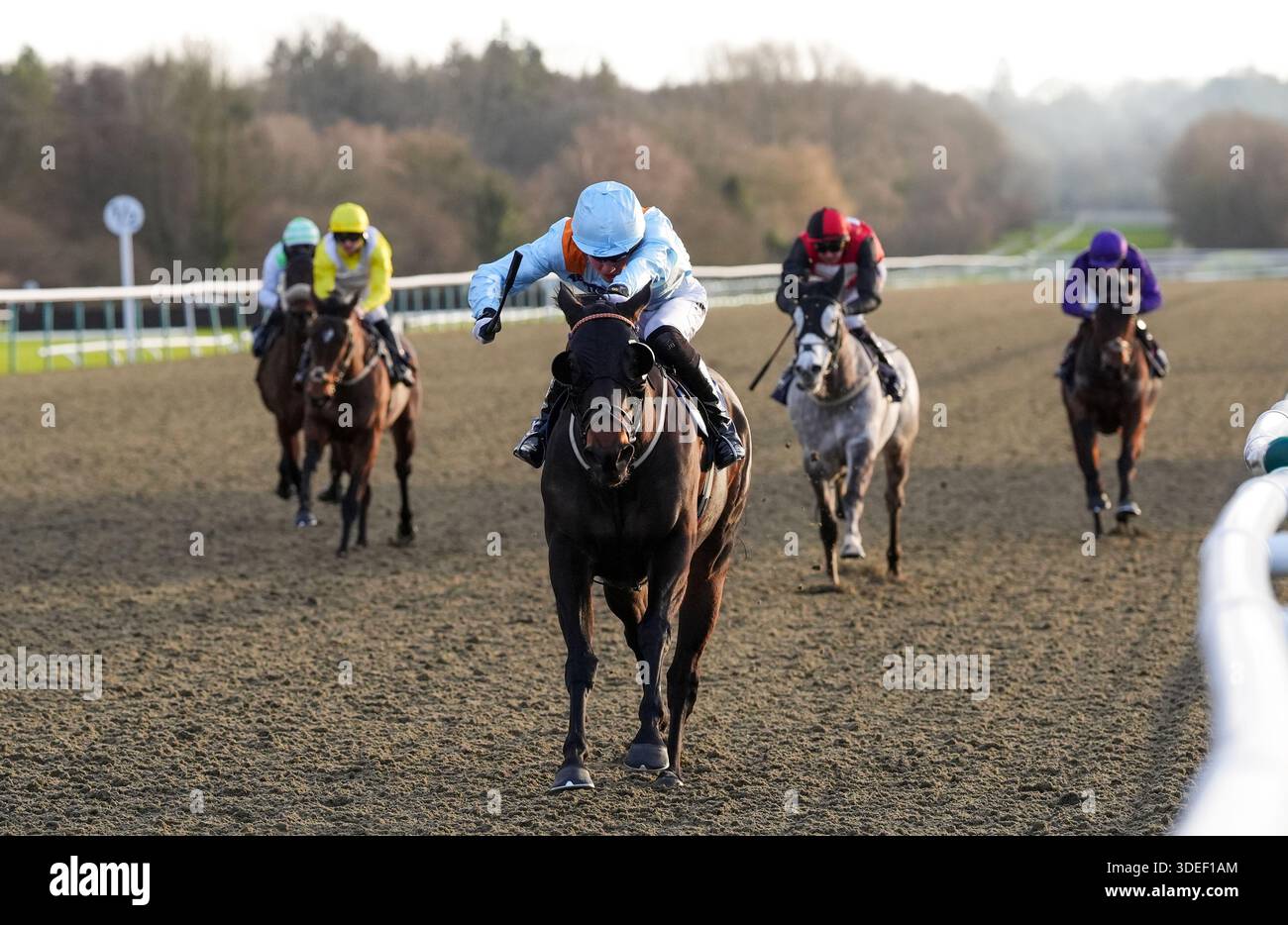 Blue Empress ridden by Harry Vigors winning the Best Odds Guaranteed At ...