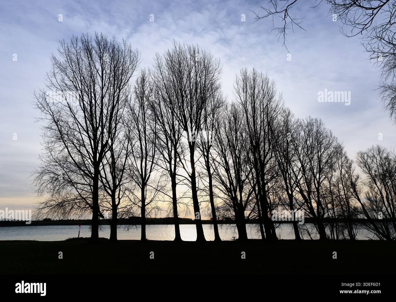 Rutland water lake reservoir water england cold leafless winter hi-res ...