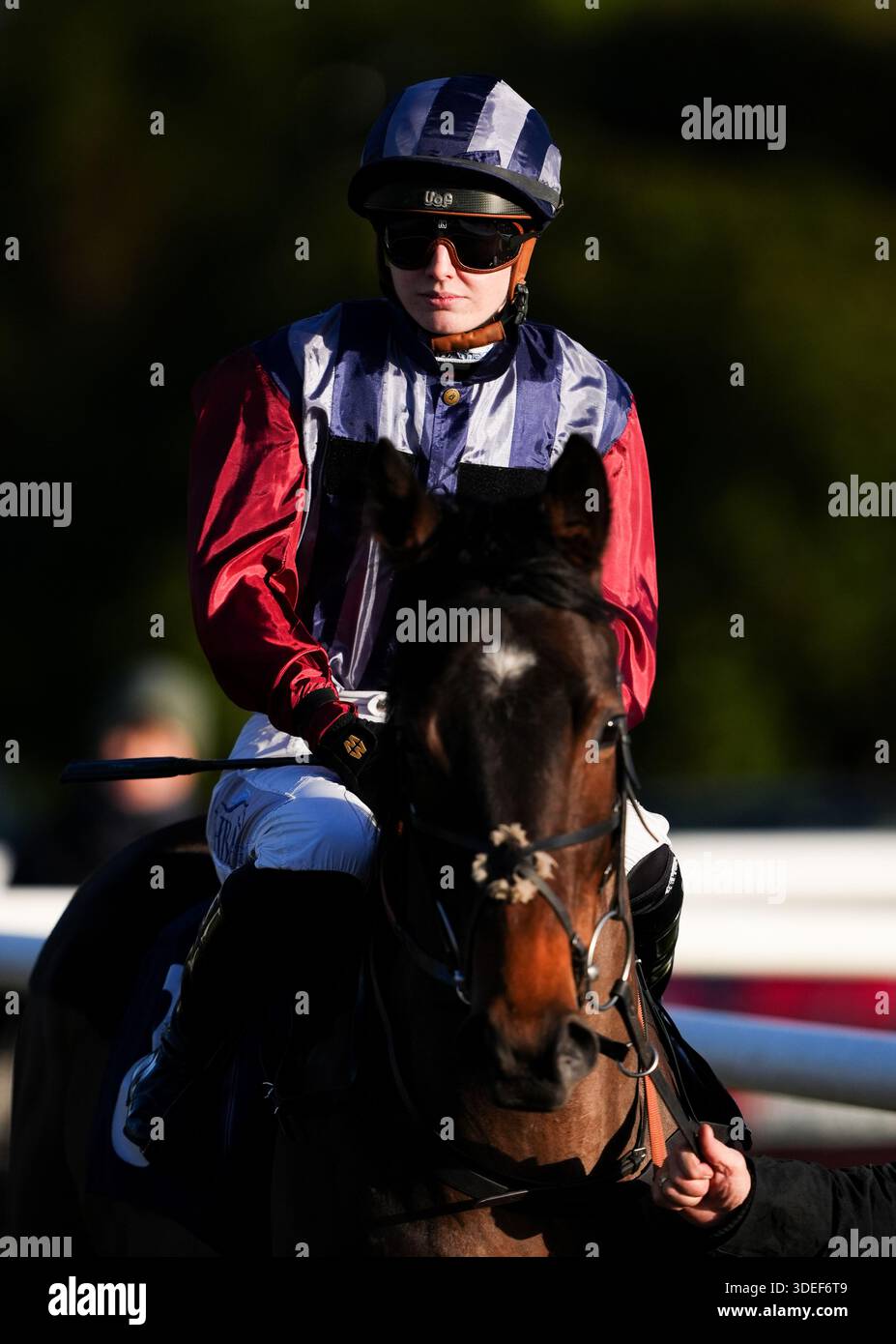 Saffie Osborne at Lingfield Park racecourse, Surrey. Picture date ...