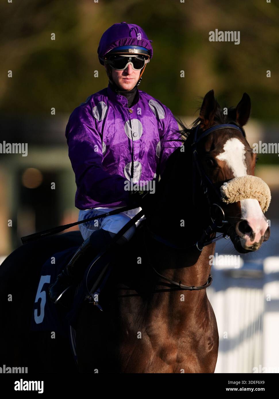 Joey Haynes at Lingfield Park racecourse, Surrey. Picture date ...