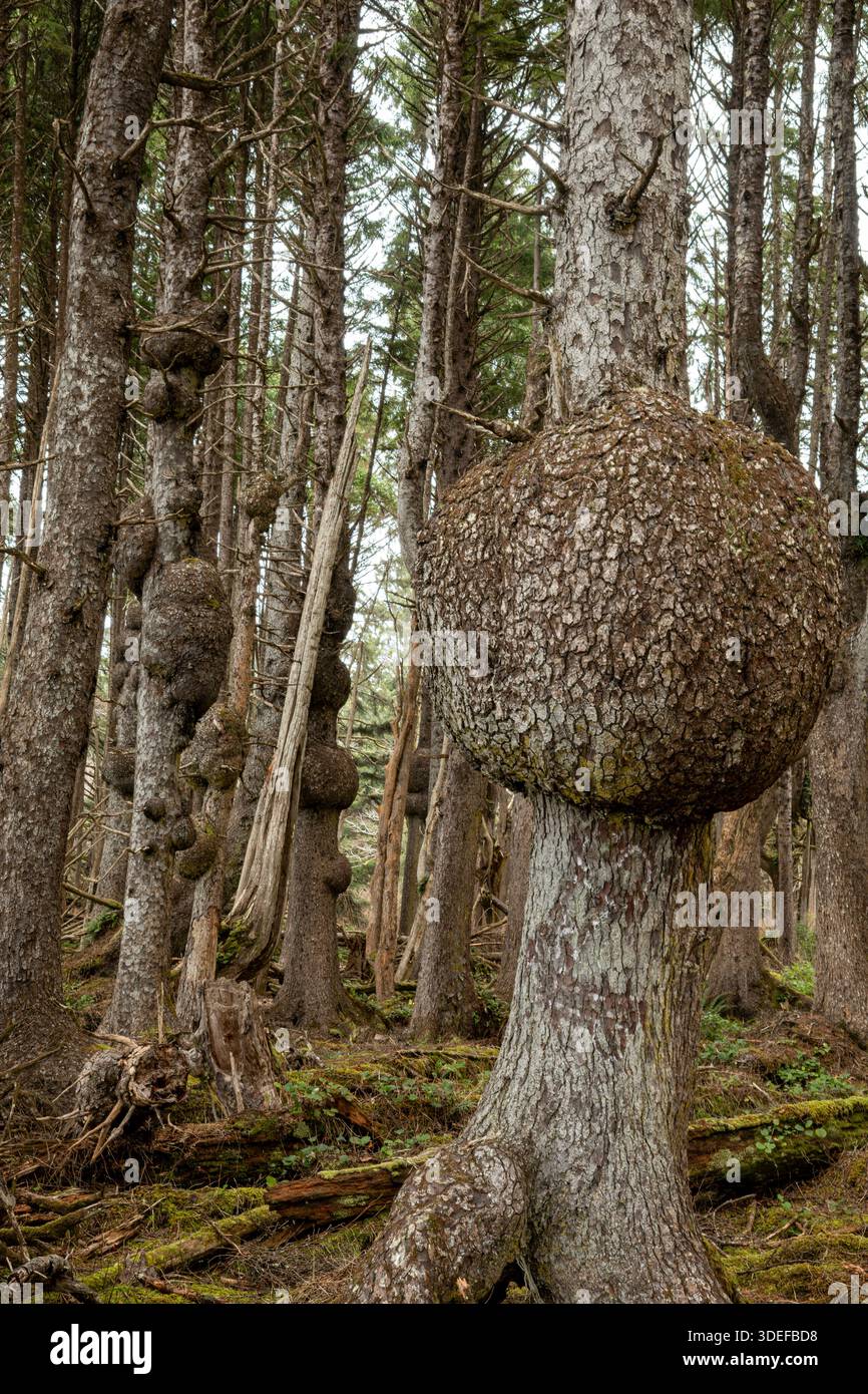 Above first beach hi-res stock photography and images - Alamy