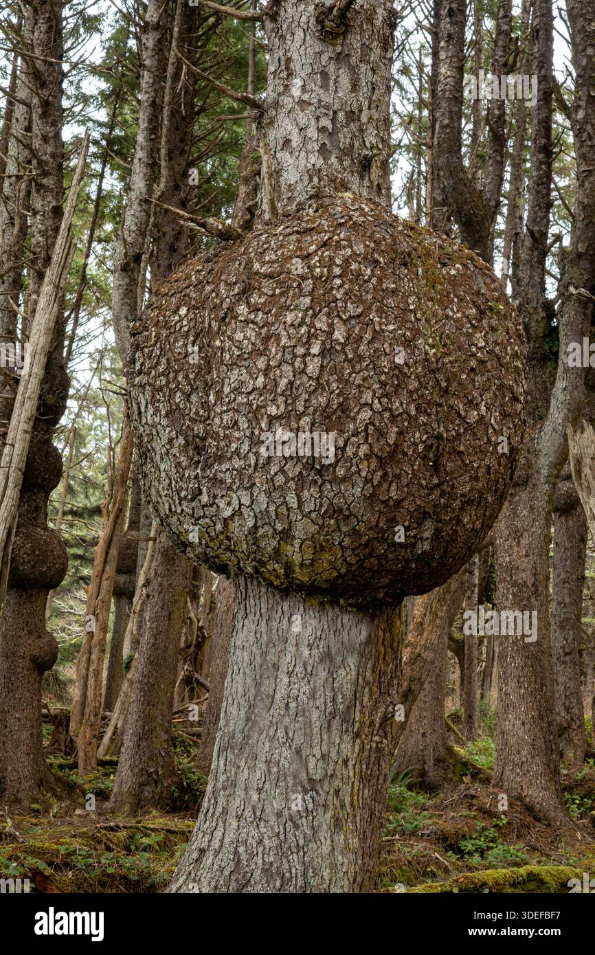 Enivornmental stress many hi-res stock photography and images - Alamy