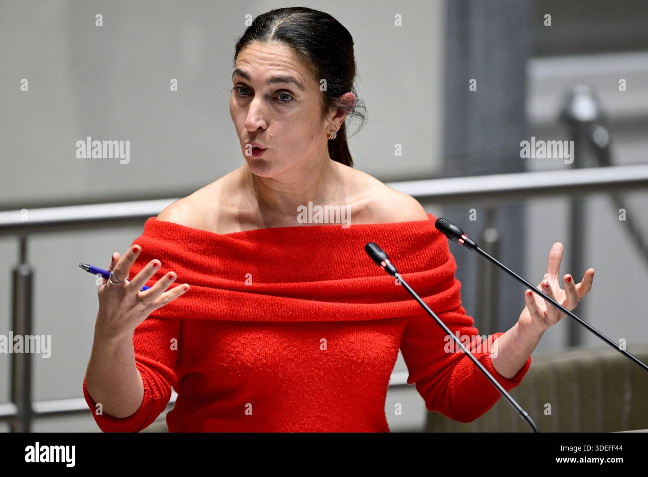 Flemish Minister for Education and Work Zuhal Demir pictured during a ...