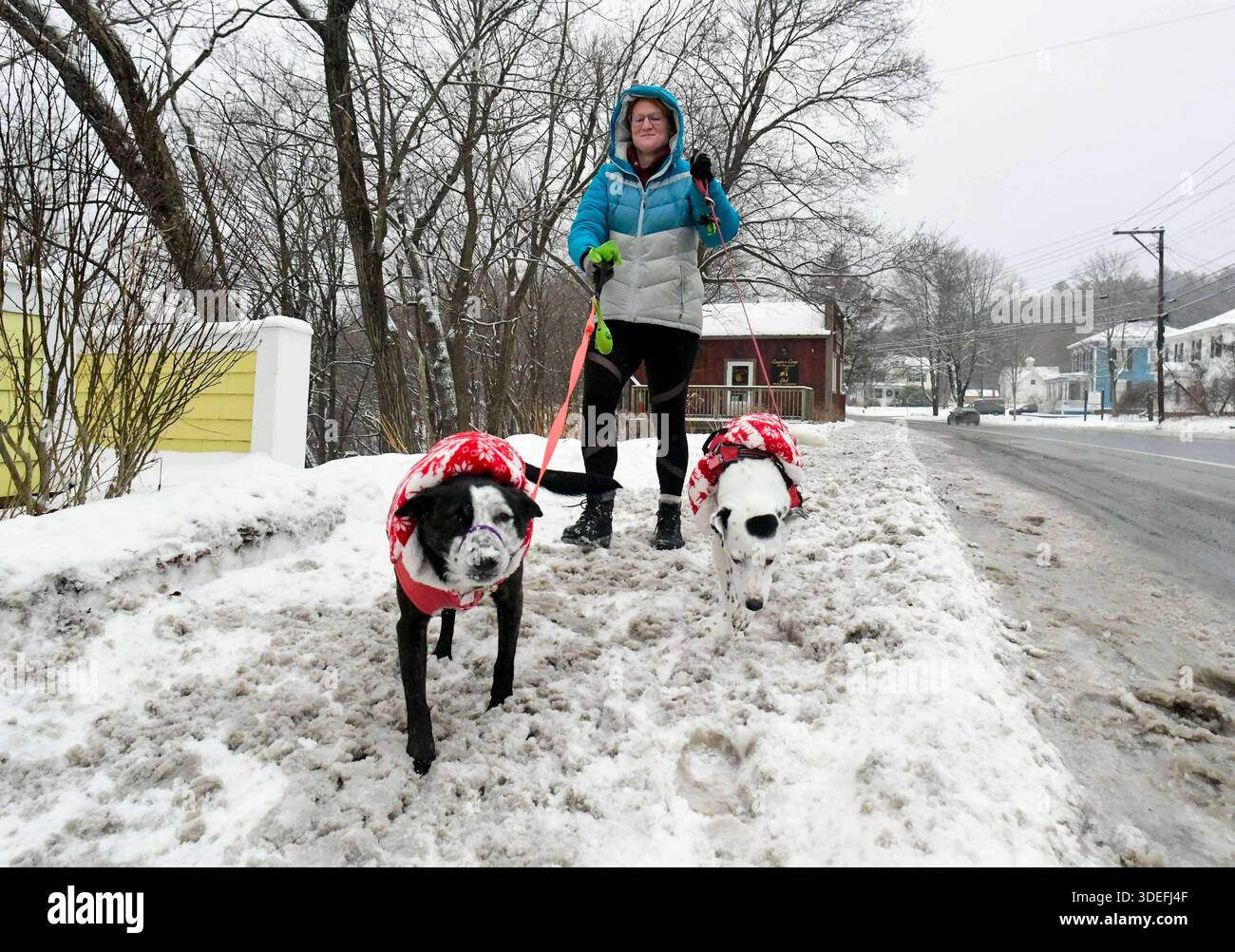 Morgan Loeffler of Brattleboro, Vt., walks her two dogs, Molly and Gia ...