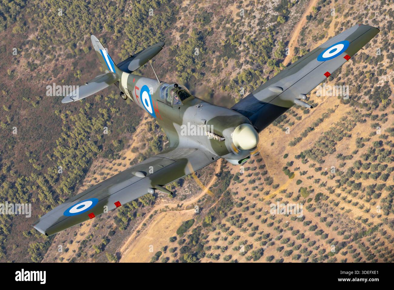 Air-to-air view of a Supermarine Spitfire Mk IX, registration MJ755 ...