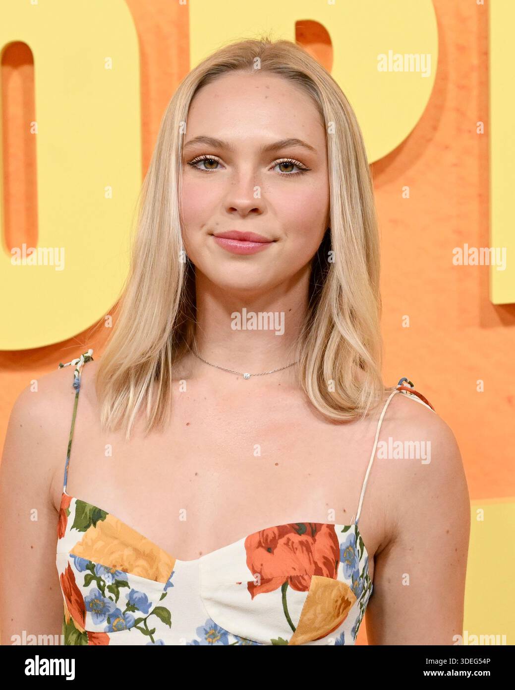 January 6, 2026, Los Angeles, California, USA: American actress JORDYN ...