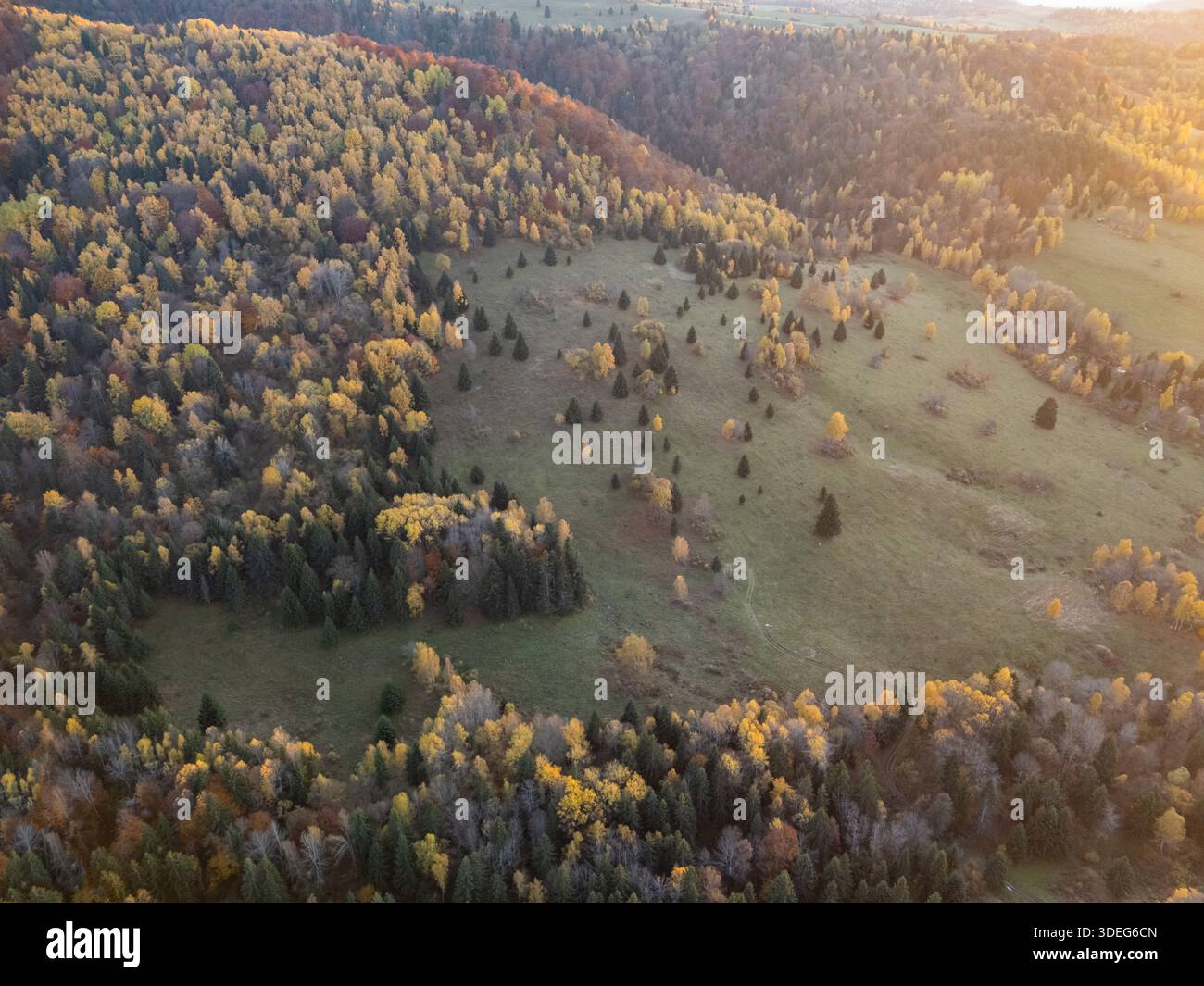 Aerial view of a vibrant tapestry of autumn colors blanketing the ...