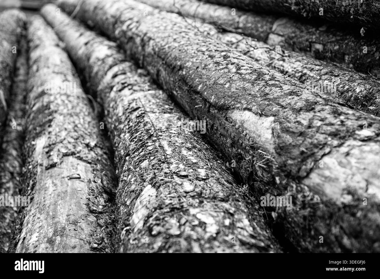 Lumber in warehouse Black and White Stock Photos & Images - Alamy
