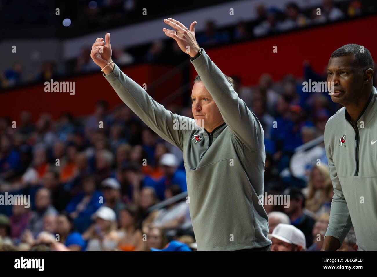 Georgia head coach Mike White signals to his team as they play Florida ...