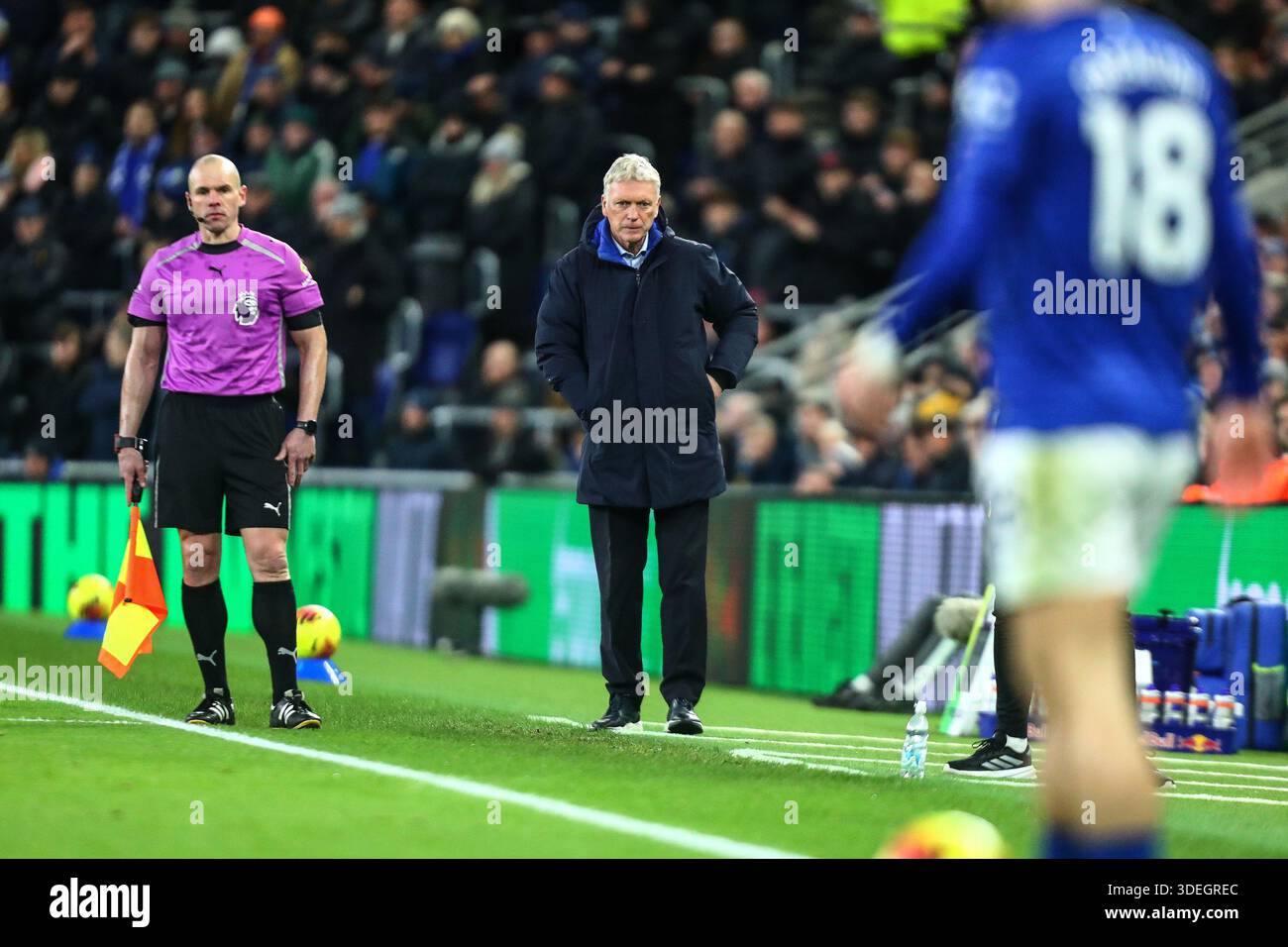 David Moyes, Manager of Everton during the Everton v Wolverhampton ...