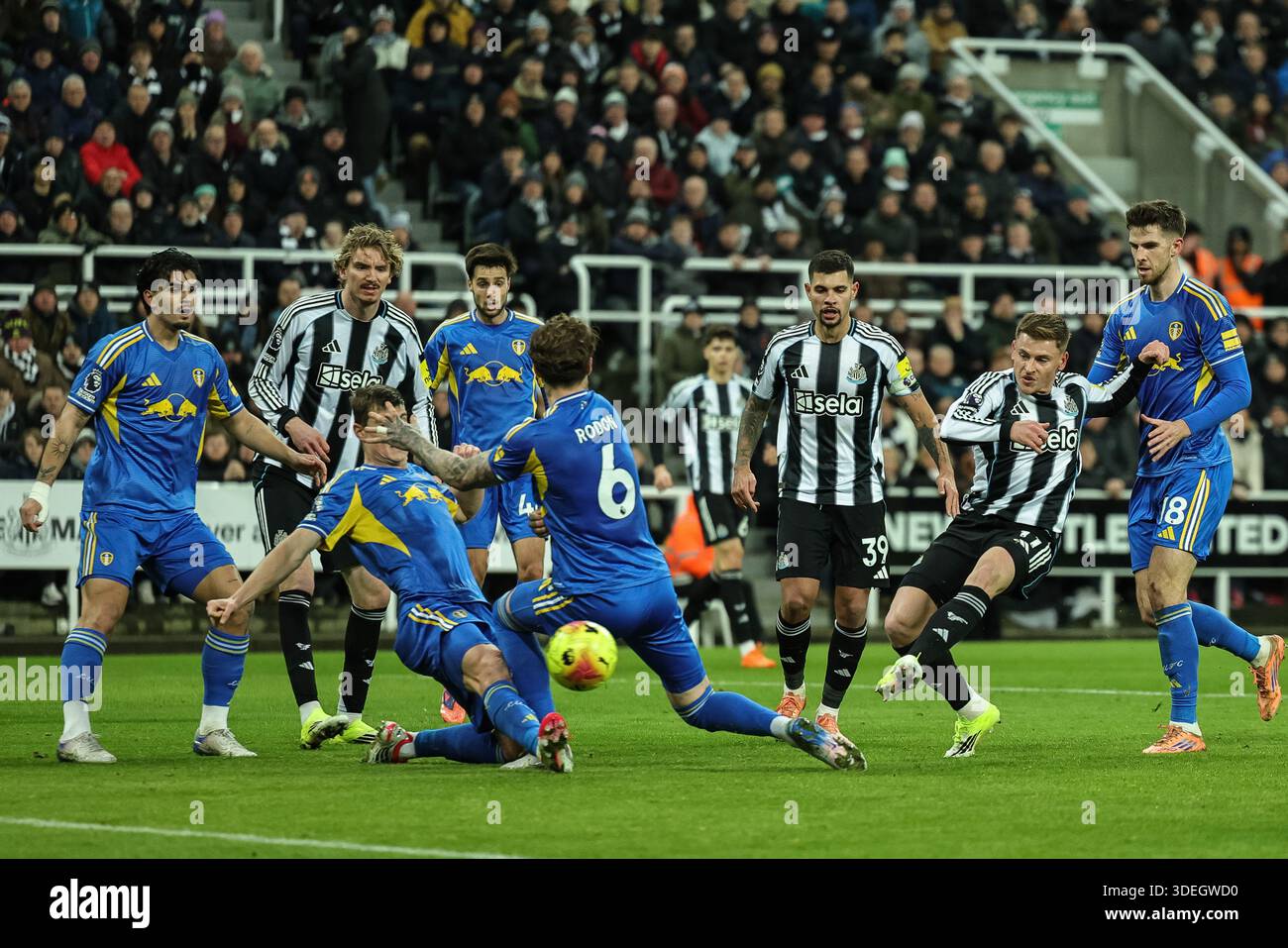 Harvey Barnes of Newcastle Untied scores to make it 1-1 during the ...