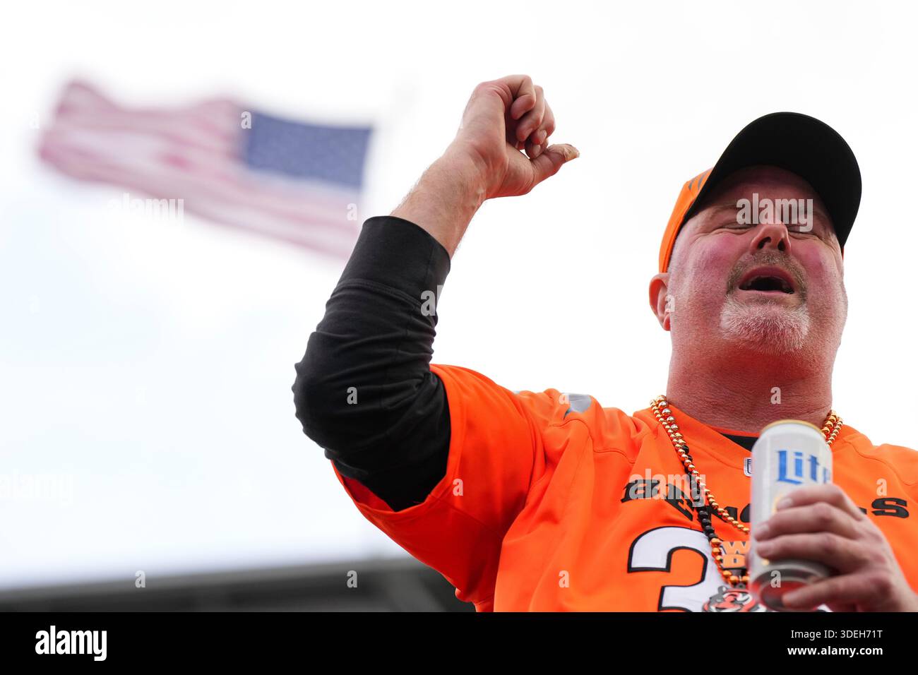 Cincinnati Bengals fans react during an NFL football game against the ...