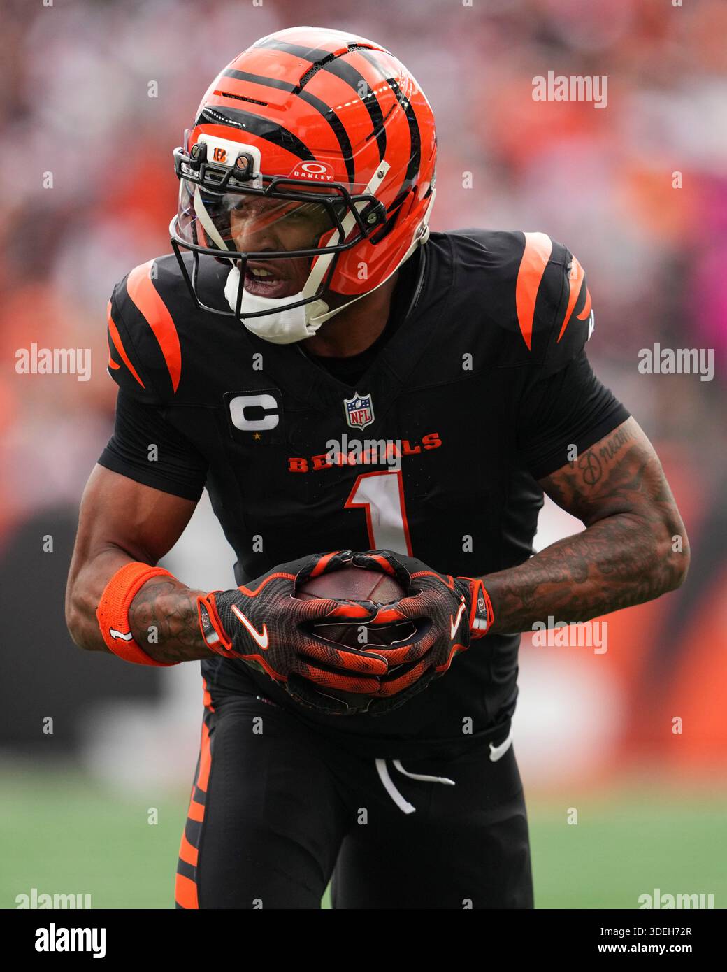 Cincinnati Bengals wide receiver Ja'marr Chase (1) scores during an NFL ...