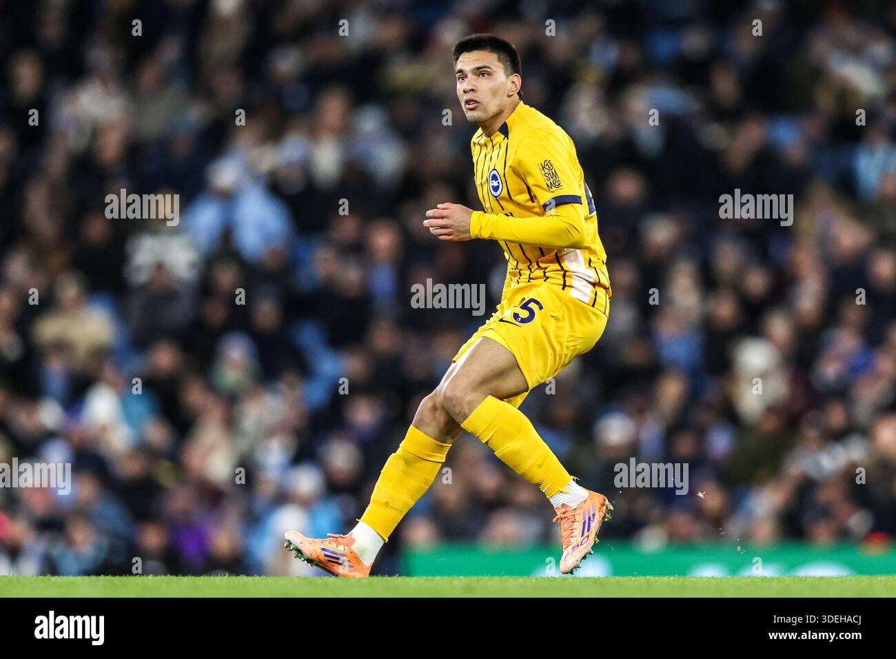 Diego Gomez of Brighton & Hove Albion during the Premier League match ...