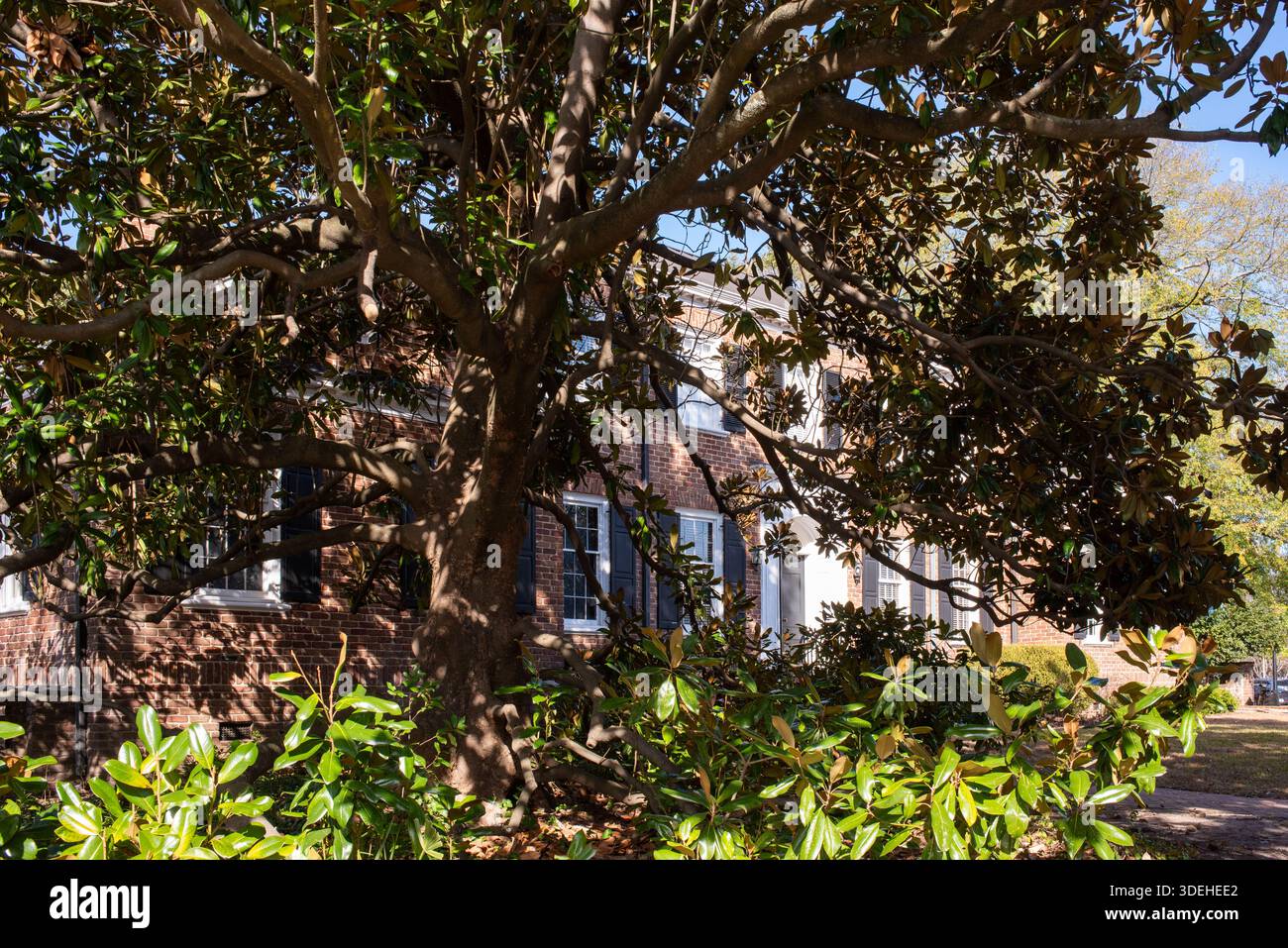 Exterior of Anne Frank Center, Columbia, SC Stock Photo - Alamy