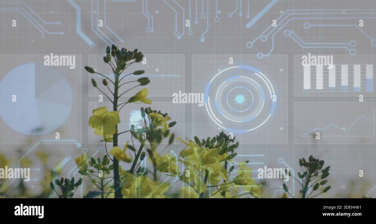 Displaying cluster of yellow blooming plants showing HUD overlays in ...