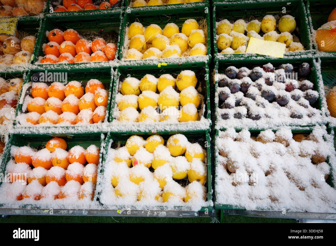 Winter scene at a market in Cologne-Ehrenfeld: Persimmons, quinces, and ...